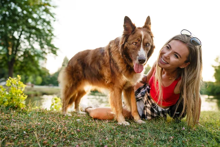 Animal Courier Service Peterborough | Trusted Pet Transport