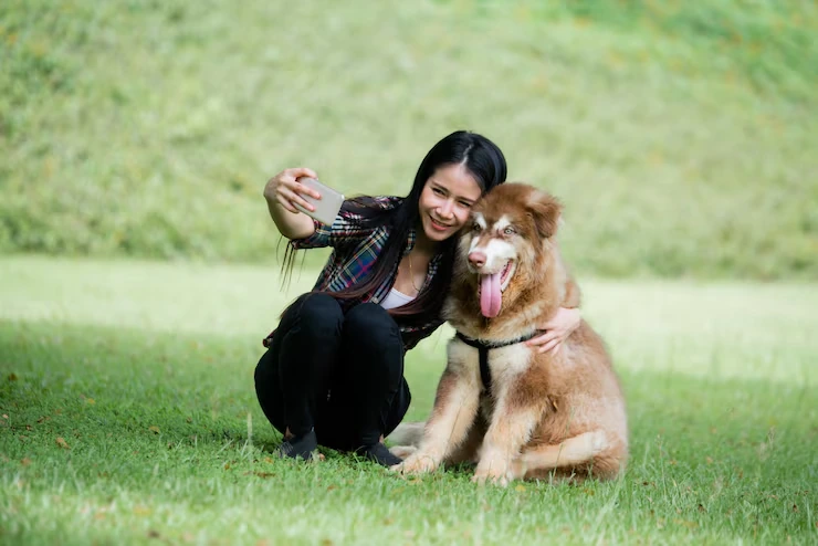 Animal Courier Service Peterborough | Trusted Pet Transport