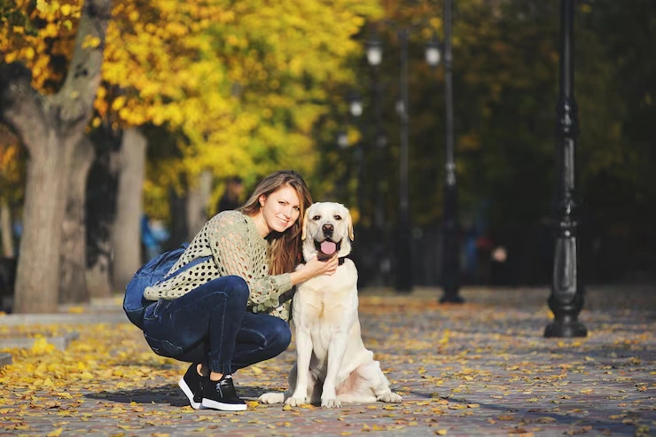 Animal Courier Service Peterborough | Trusted Pet Transport