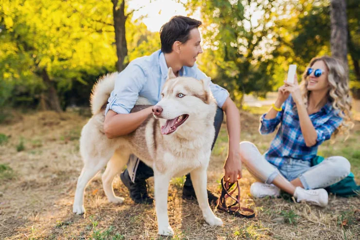 Animal Courier Service Peterborough | Trusted Pet Transport