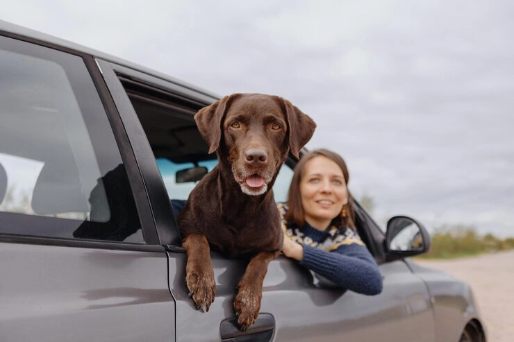 Pet Transport Services from the UK to Perth