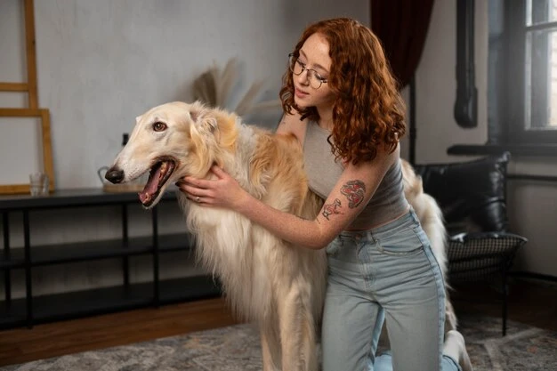 Pet Transport Services from Plymouth to Dubai