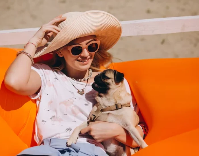 Pet Transport Services from Swansea to Dubai